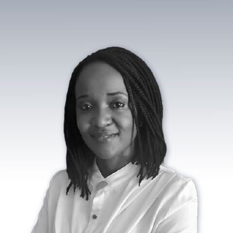 Who We Are | Axum Earth